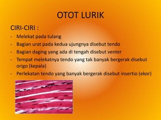 OTOT MANUSIA DAN GANGGUANNYA.pptx