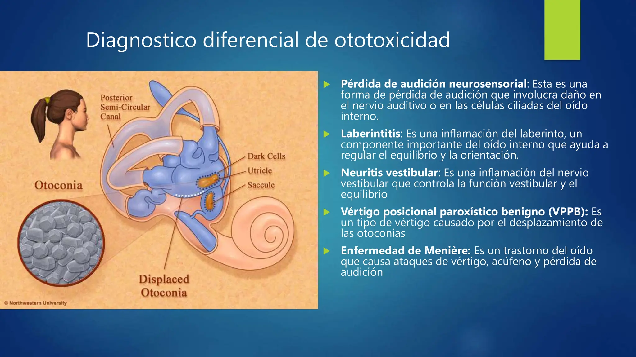 ototoxicidad y su sintomatologia aa.pptx