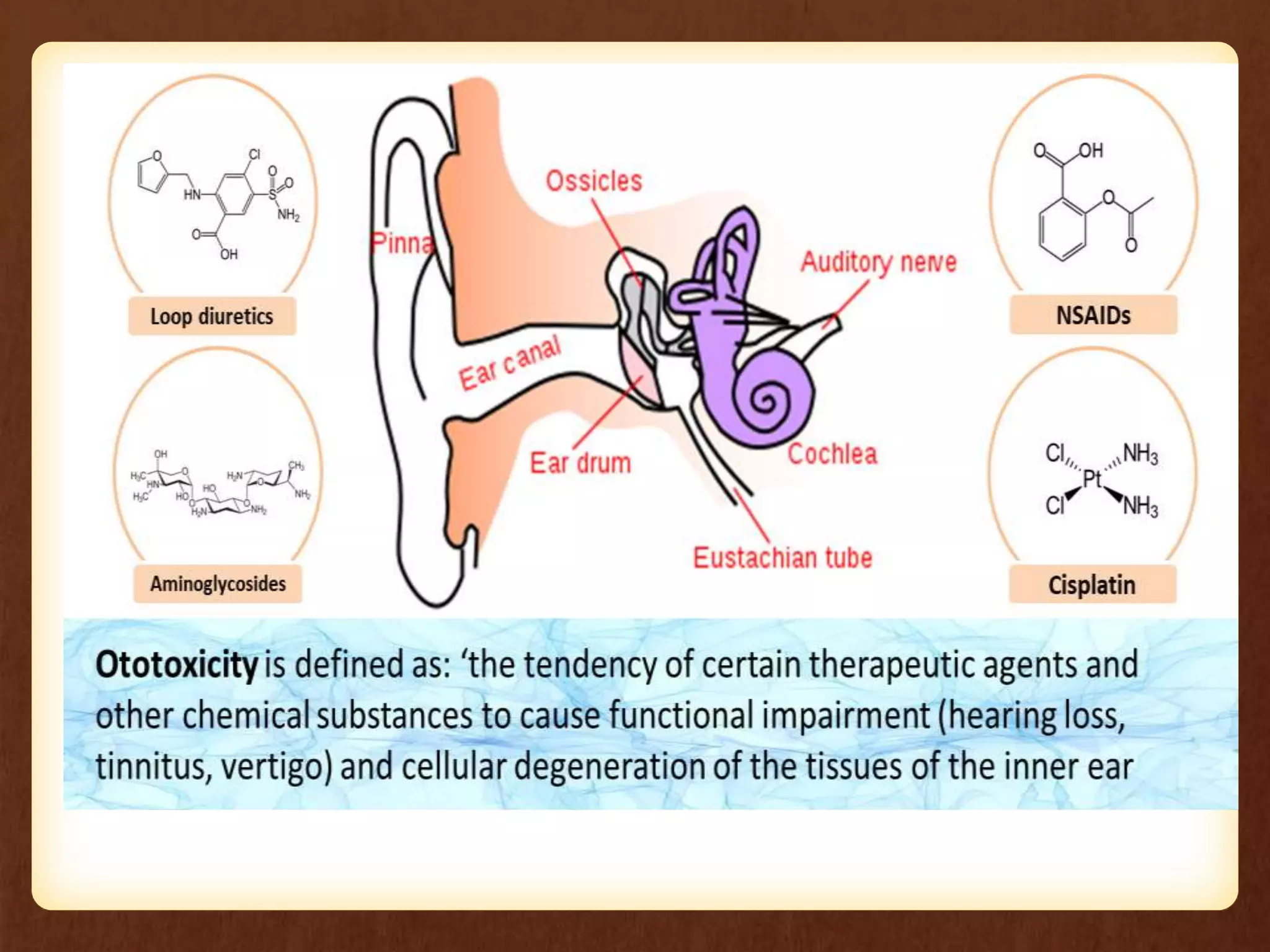 Ototoxicity | PPTX