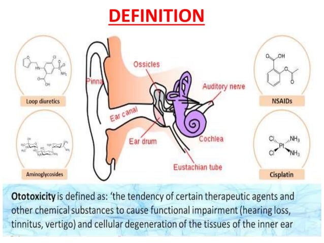 Ototoxicity | PDF