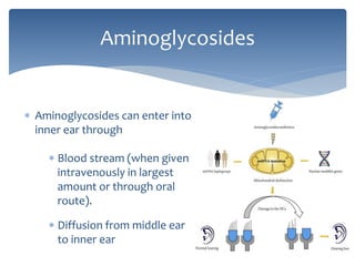 Ototoxicity | PPTX