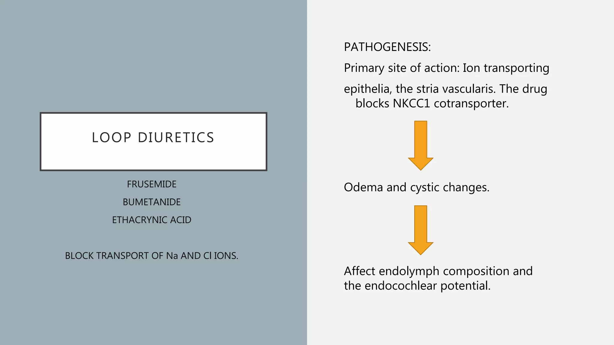 Ototoxicity | PPTX