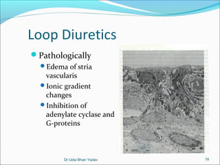 Ototoxicity of drugs. | PPT