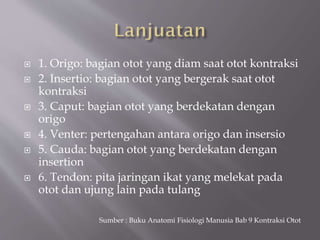 Otot rangka & kerja | PPTX