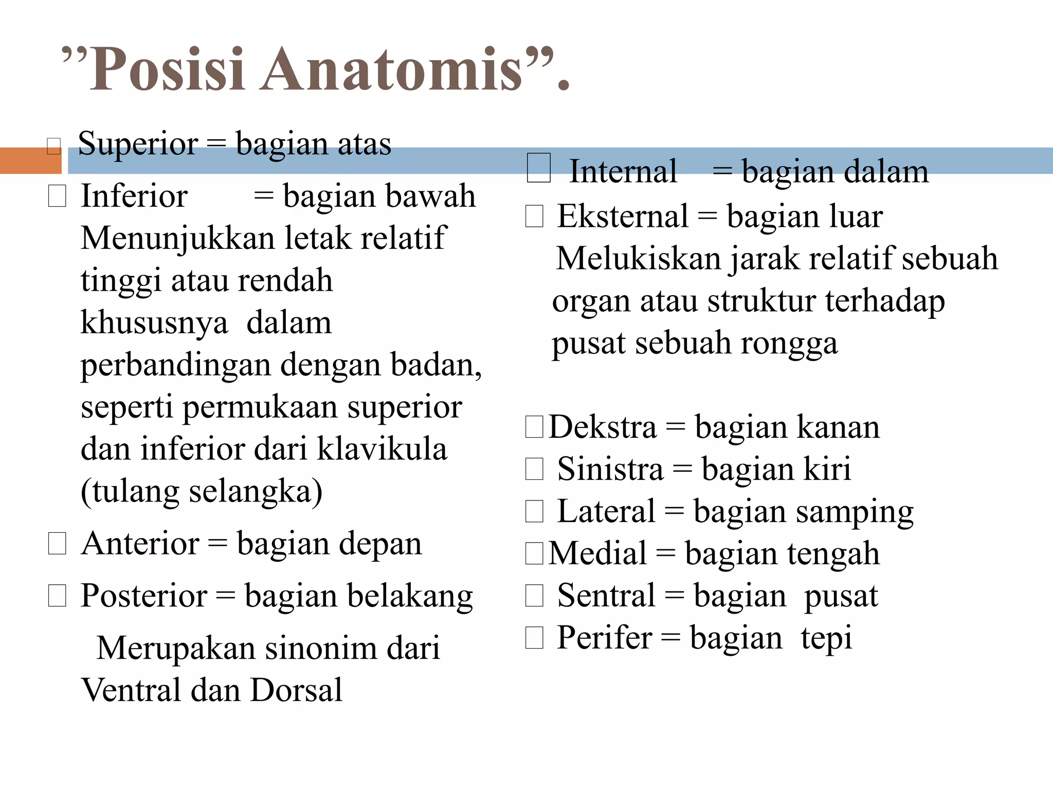 otot Tendon dan Ligamen.pdf