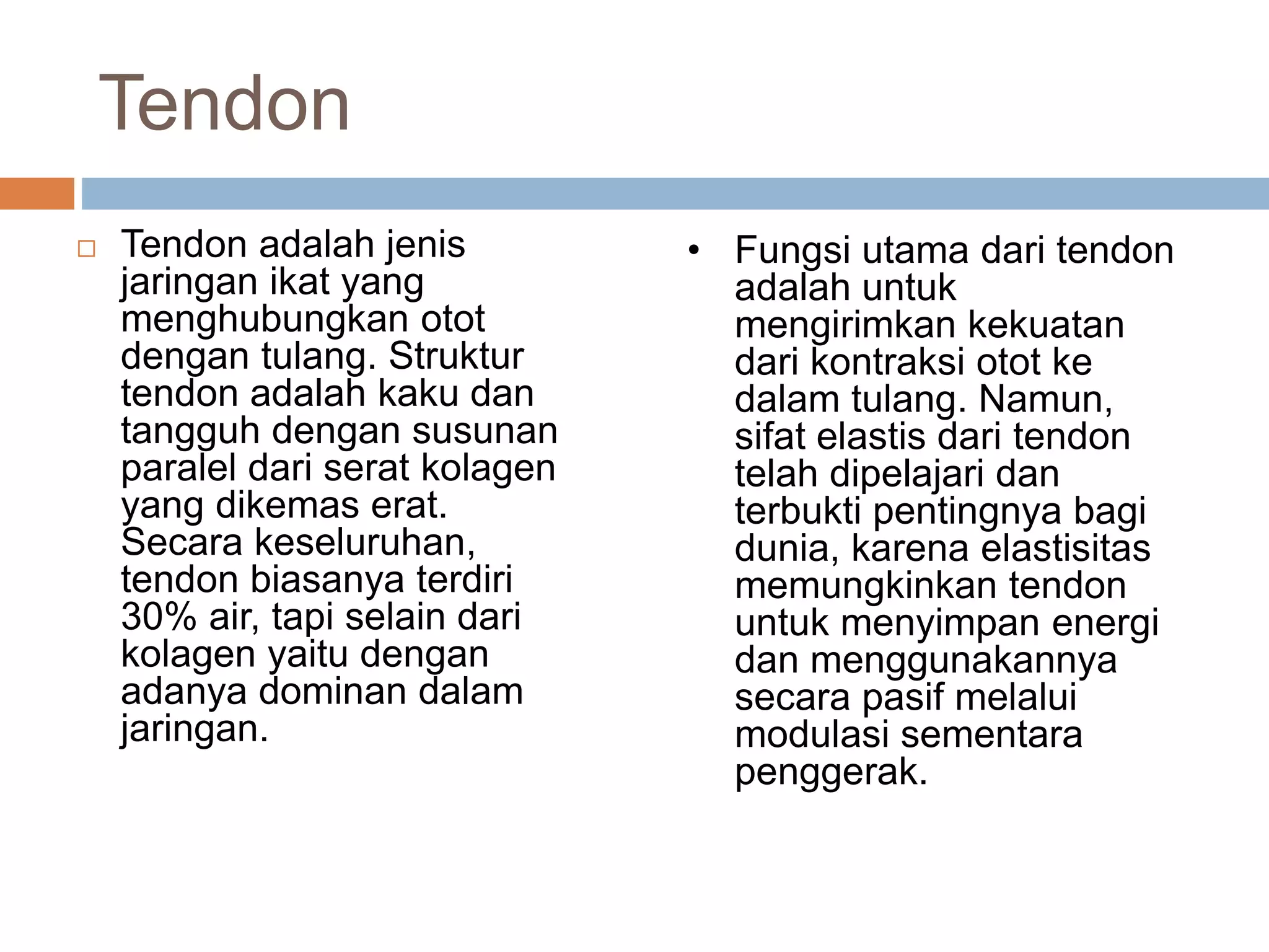 otot Tendon dan Ligamen.pdf