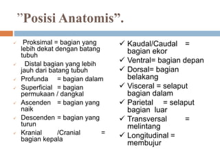 otot Tendon dan Ligamen.pdf