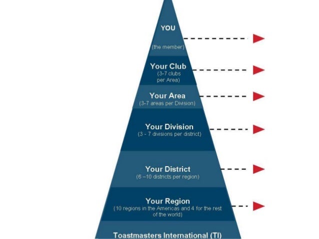 Toastmaster Context, Club, Division, District, World
