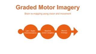 Pain, Brains and Virtual Reality | PPT