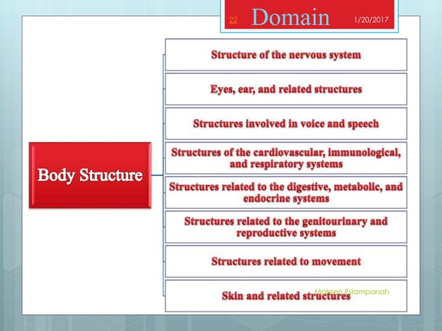 Occupational Therapy Practice Framework :Domain & process 3rd Edition | PPTX