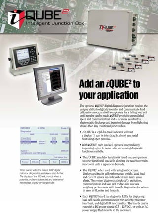 Rice Lake Survivor OTR Truck Scale | PDF