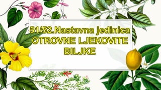 Otrovne ljekovite biljke | PPTX