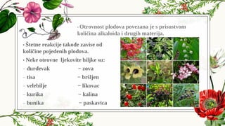 Otrovne ljekovite biljke | PPTX