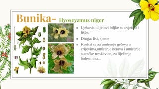 Otrovne ljekovite biljke | PPTX