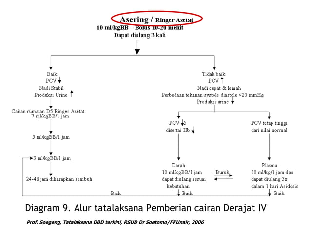 Otsuka Asering Kaen Proten AminofluiD.pptx