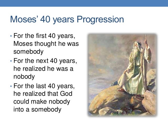 OT Journey -- Moses, Israel, The Law