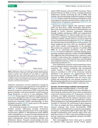 Microhomology in Genomic Stuctural Variation - Diego Ottaviani, Magdalena Lecain, Denise Sheer ...