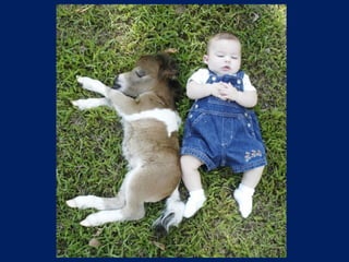 Ottavio cautilli | PPS