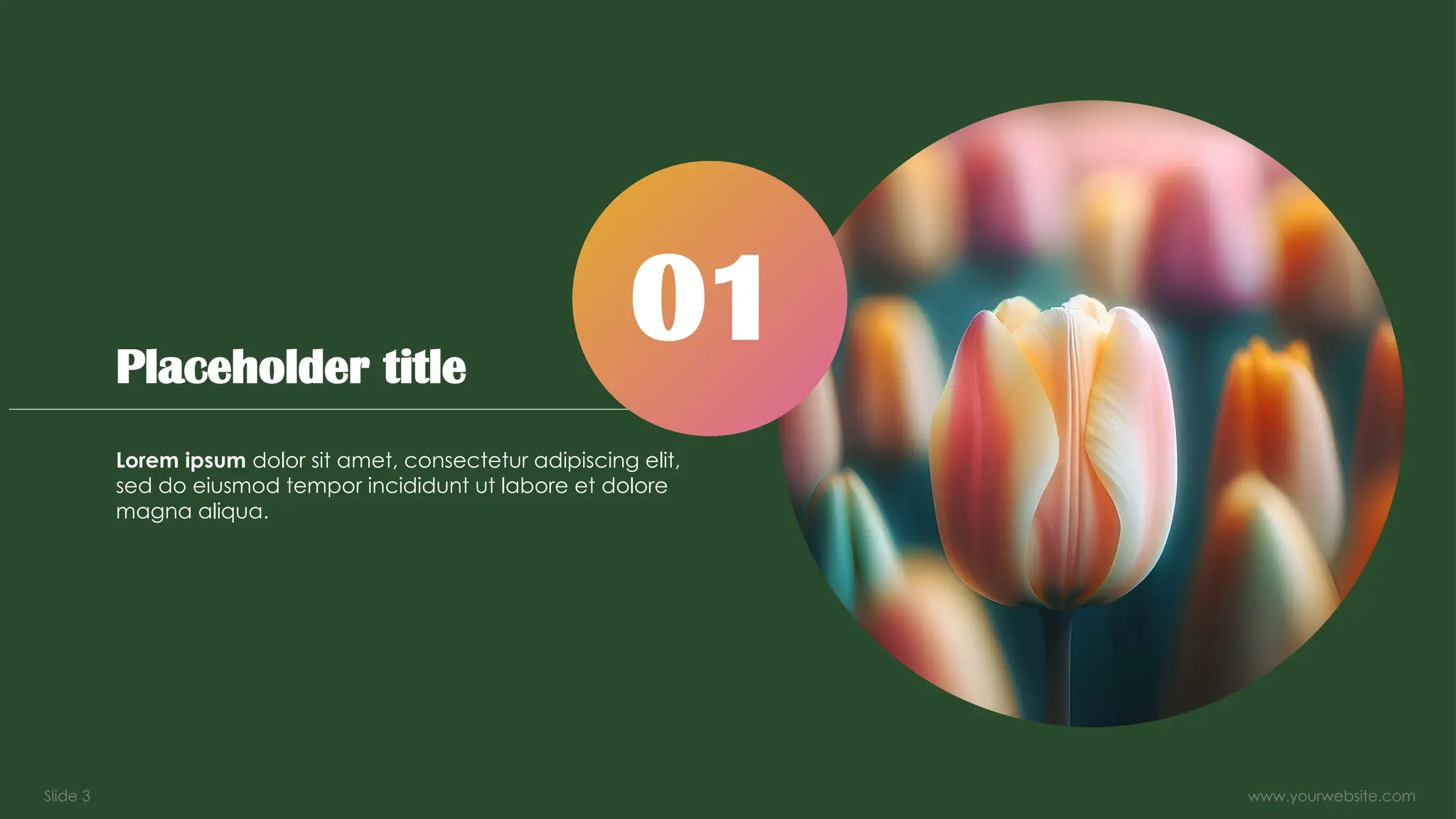 Ottawa Tulip Festival PowerPoint Template and Google Slides | PPTX