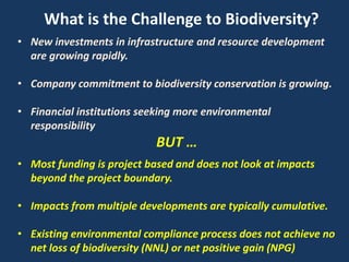 Achieving Net Positive Impacts for Biodiversity Through the Mitigation ...