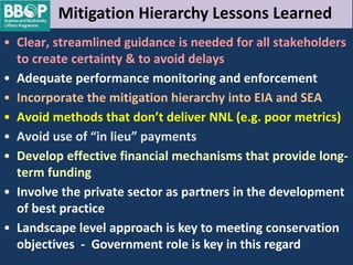 Achieving Net Positive Impacts for Biodiversity Through the Mitigation ...