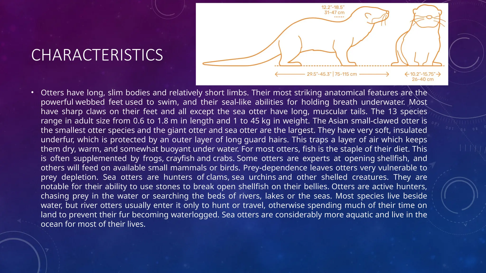 OTTER.pptx Time waste bhai puraoll 1 to 8 will do the chemistry project ...