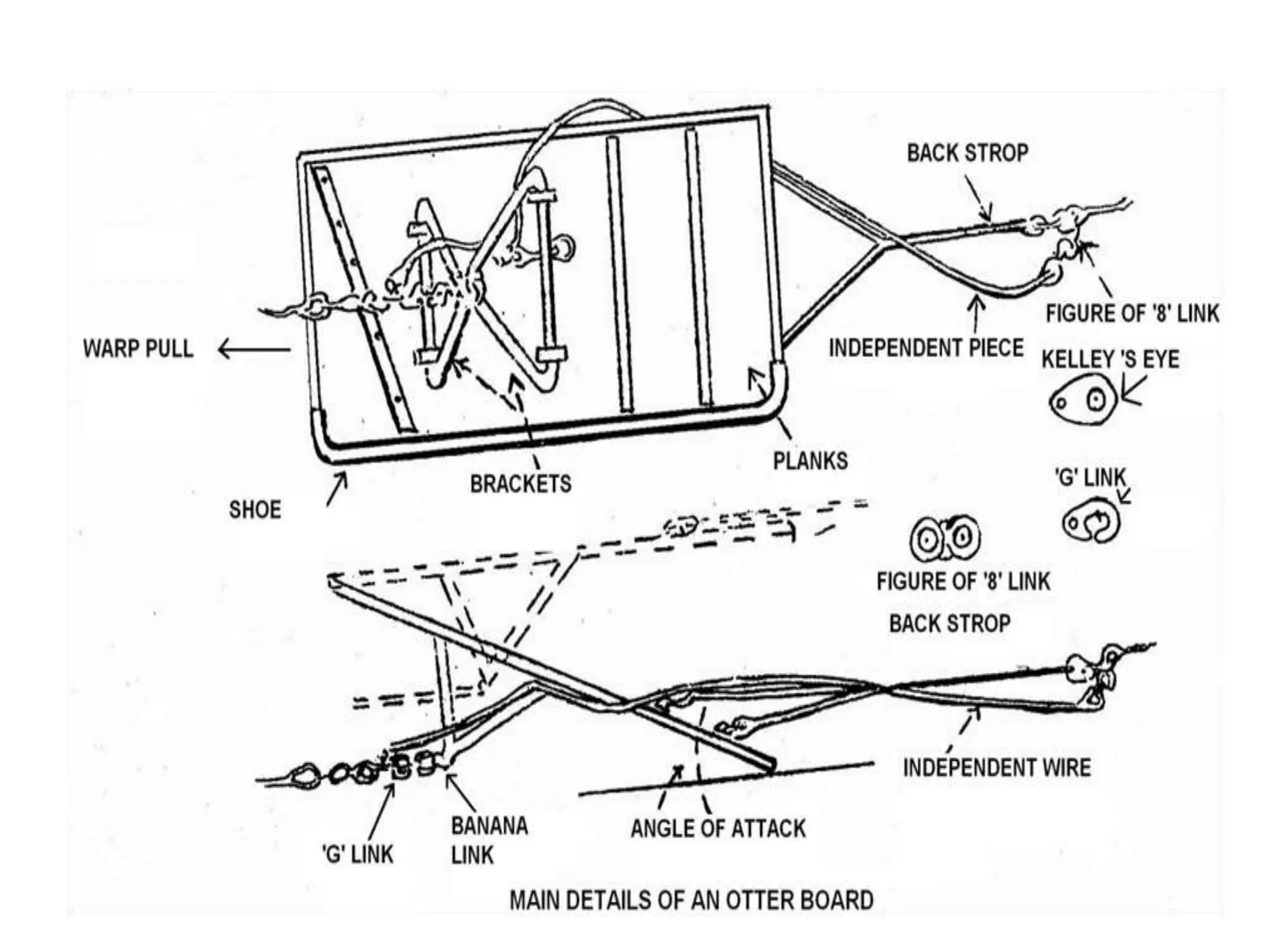 OTTER BOARDS.ppt