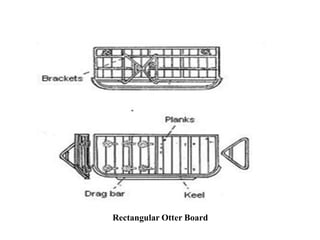 OTTER BOARDS.ppt