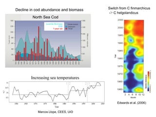Spawning stock and recruitment relationship in North Sea cod shaped by ...