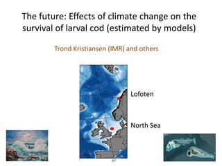 Scientific presentation on the North sea fish recruitment failure | PPT