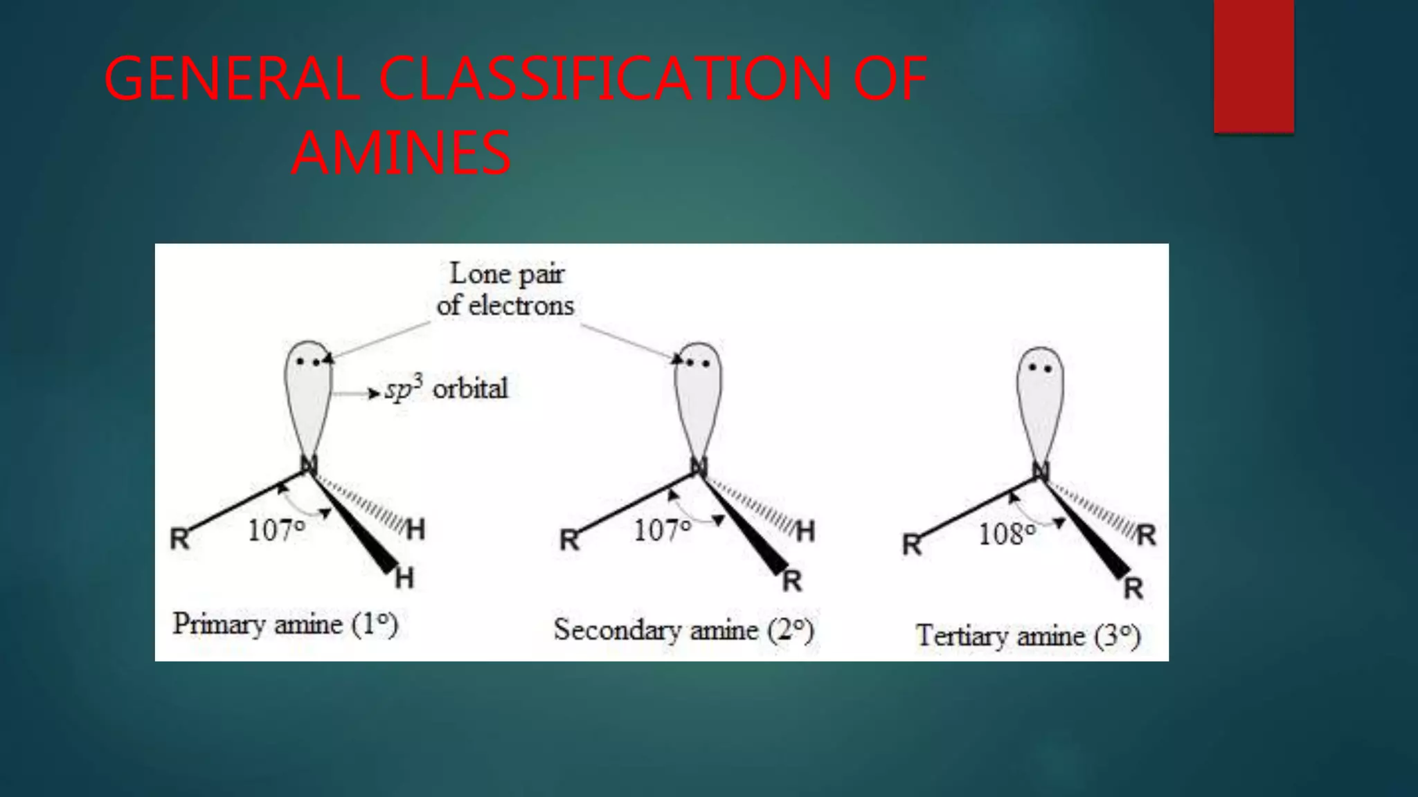 Amides and amines presentation. | PPTX