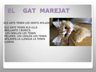 ELS GATS | PPT