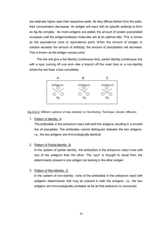 [IMMUNOLOGY LAB REPORT] Antigen - Antibody Precipitation Reaction | DOCX