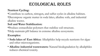 ALKALIPHILES.ppt].pptx introduction and important | PPTX