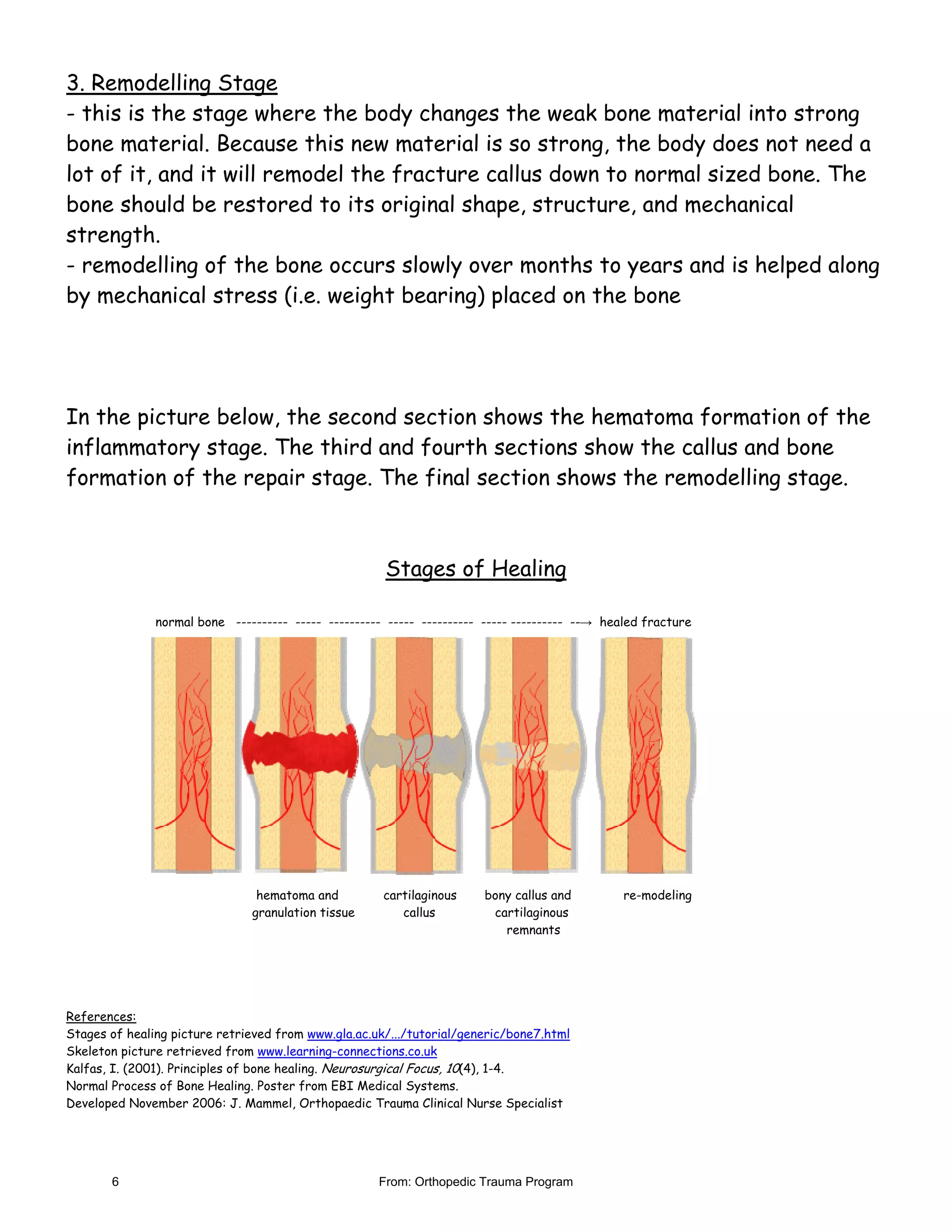 Bone healing | PDF | Death, Injury, or Military Conflict | Sensitive Topics