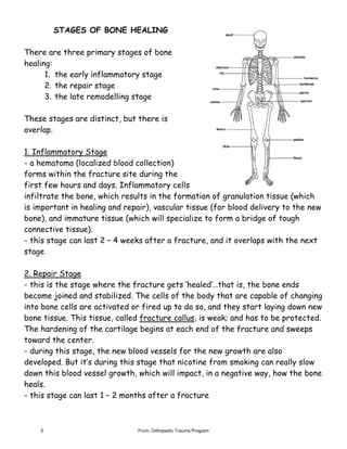 Bone healing | PDF