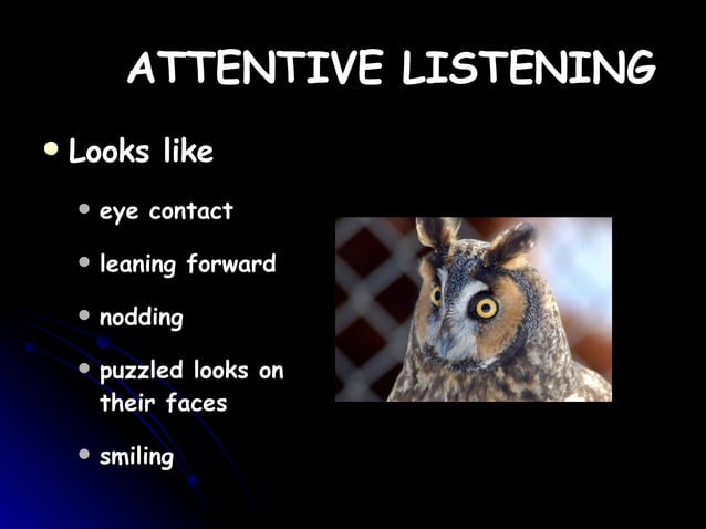 Our Classroom Agreements | PPT