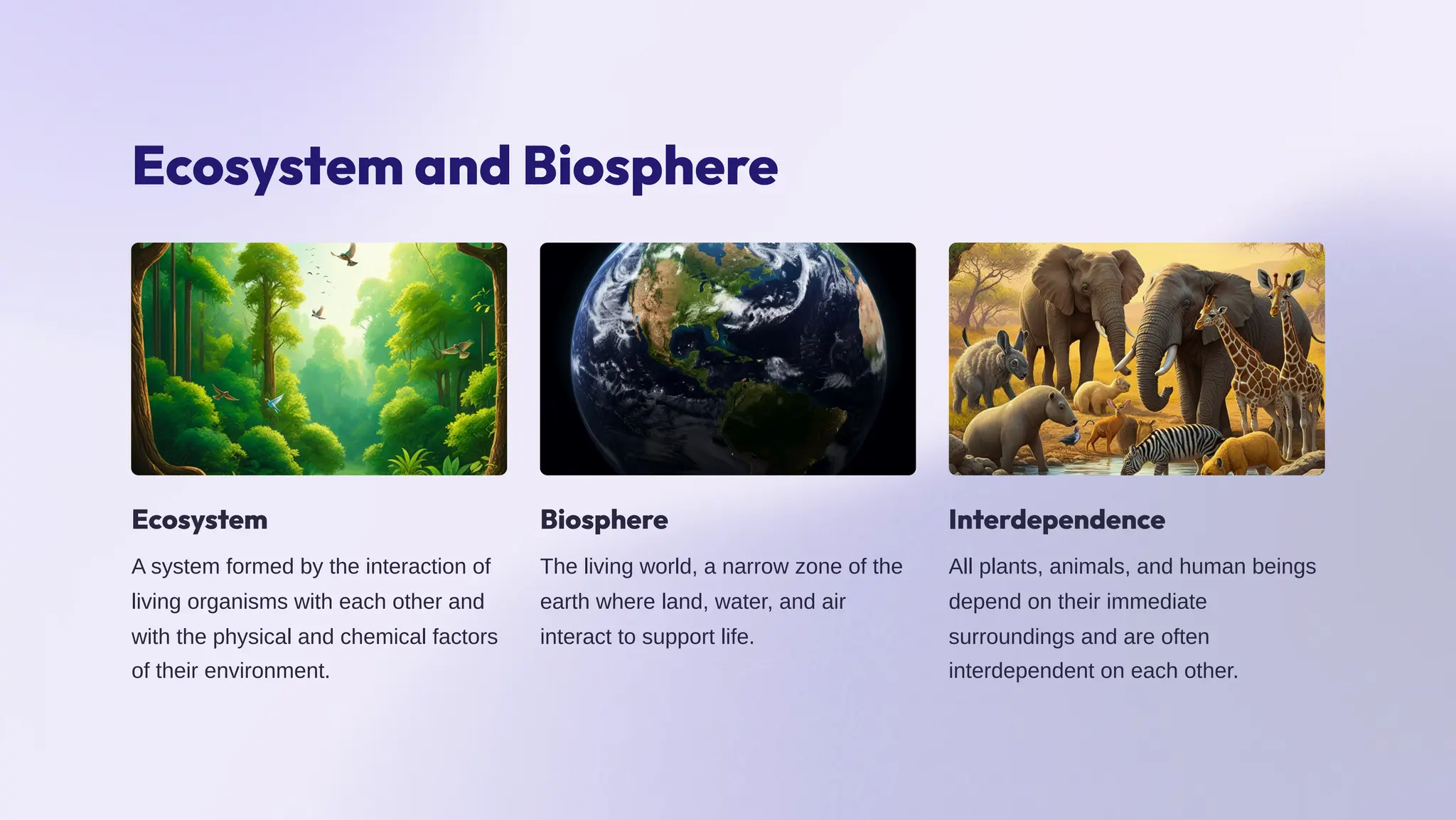 Our-Environment-Natural-and-Human.pdf 7th class geography | PDF