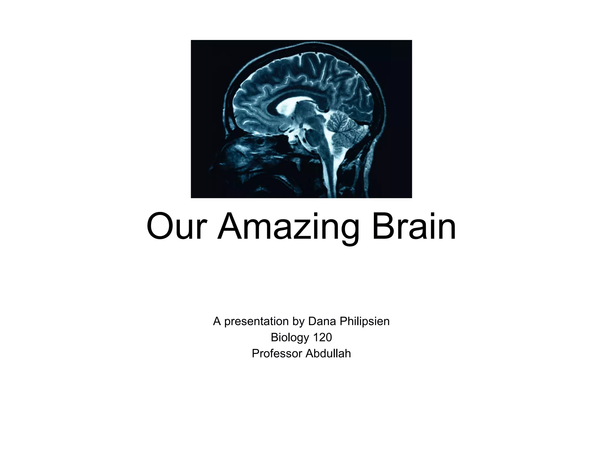 Our Amazing Brain | PPT