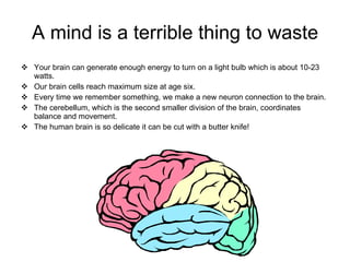Our Amazing Brain | PPT