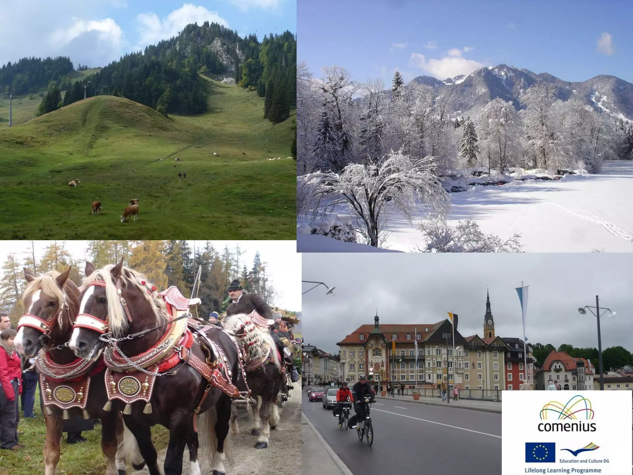 Our area. Leggrins. Germany | PPT | Agriculture | Industries