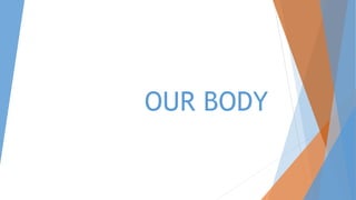 Our body | PPTX