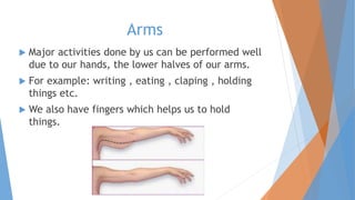 Our body | PPTX