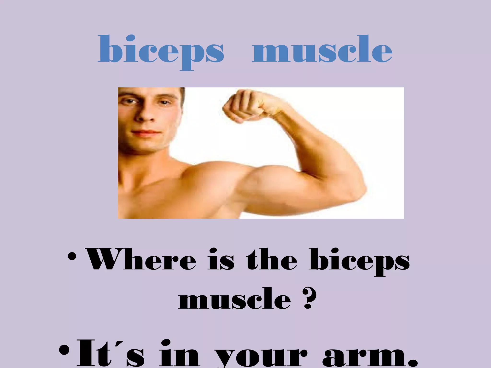 Our body has muscles | PPT