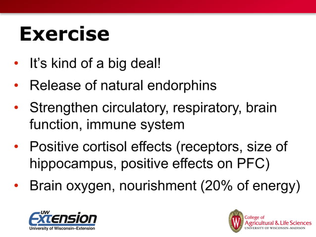 Our Brain on Stress | PPT