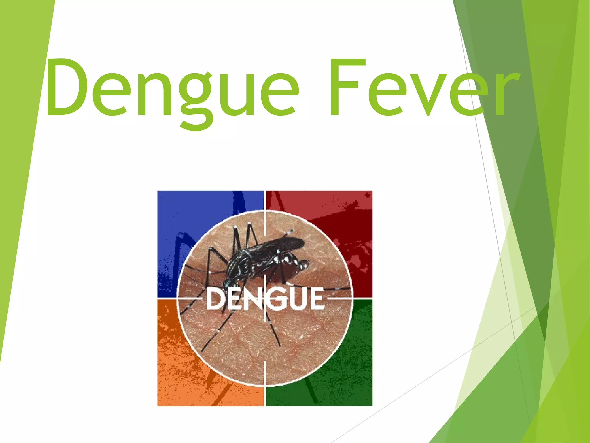 Case Presentation Dengue Fever | PPT