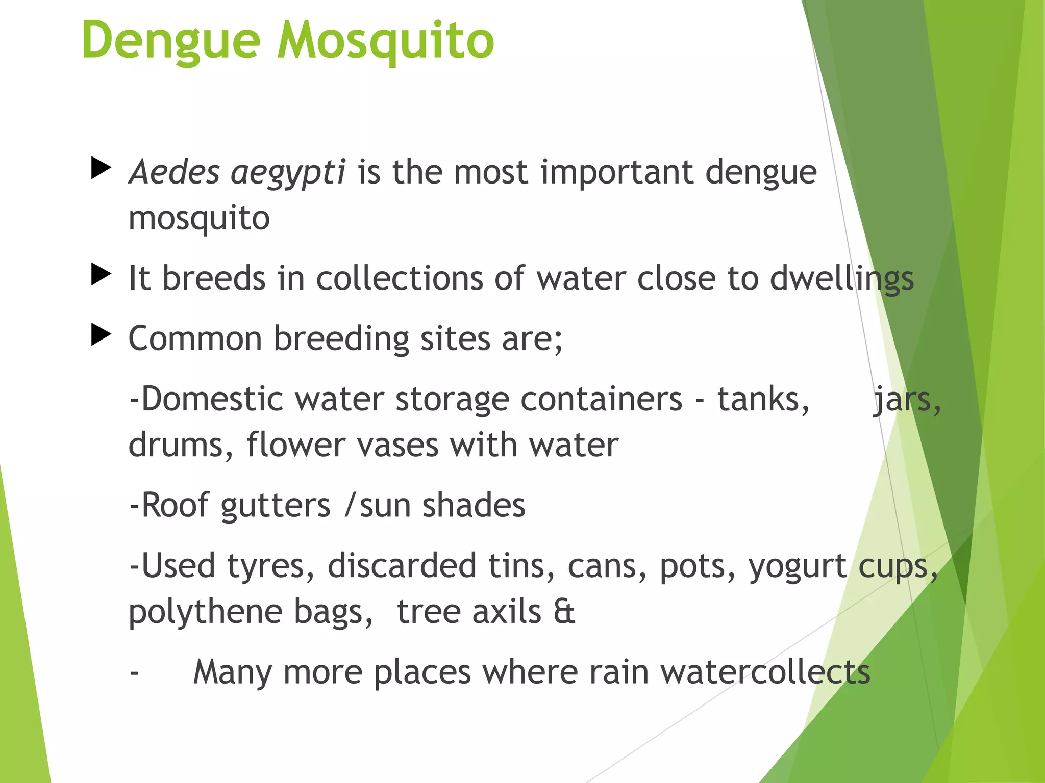 Case Presentation Dengue Fever | PPT