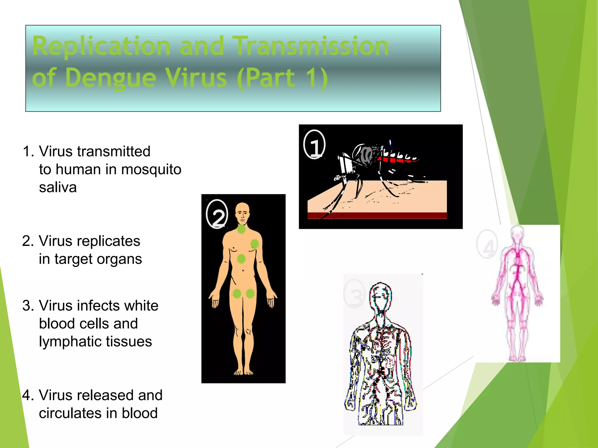 Case Presentation Dengue Fever | PPT