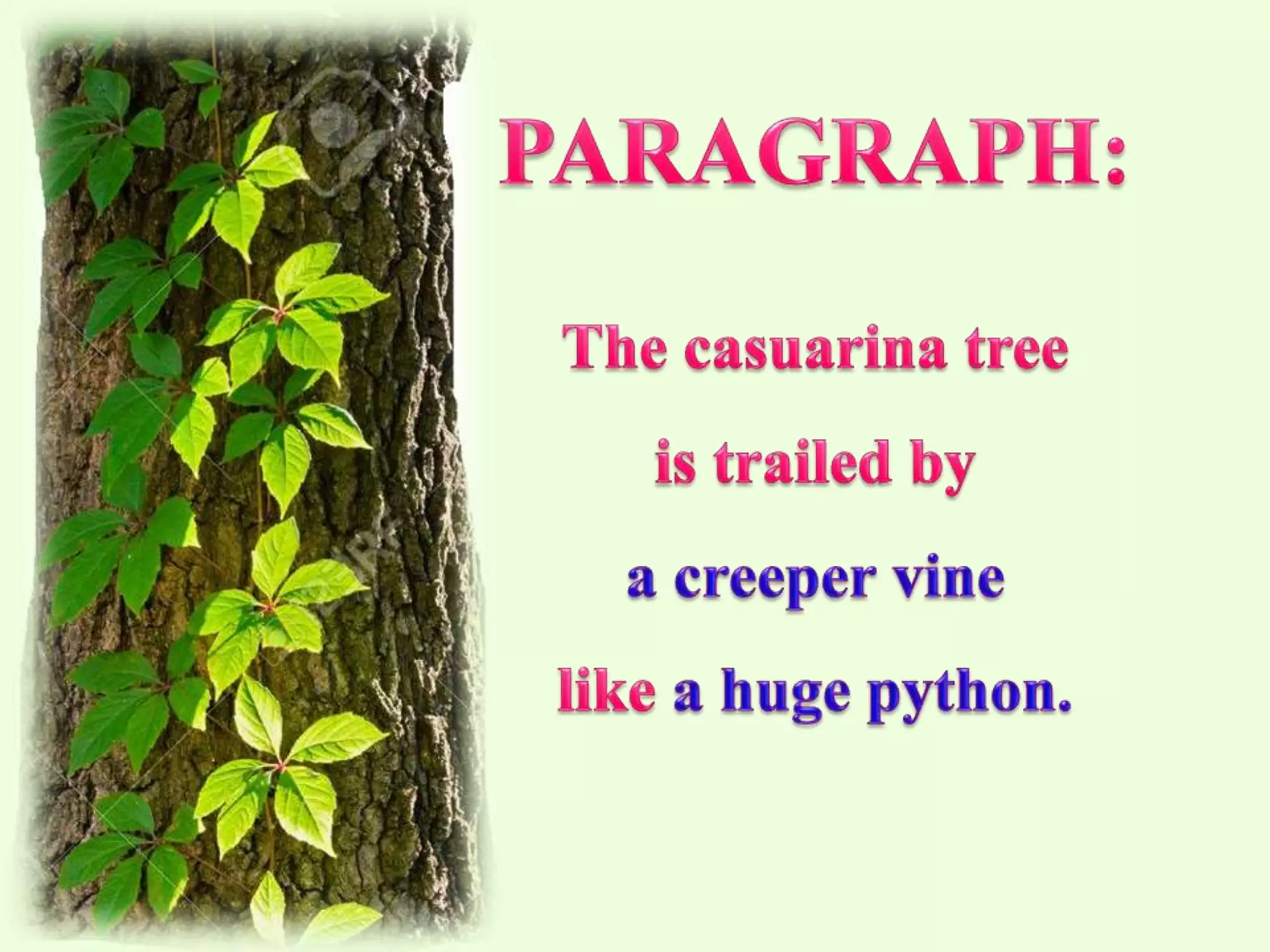 OUR CASUARINA TREE - TORU DUTT BY ROBYHEP | PPTX