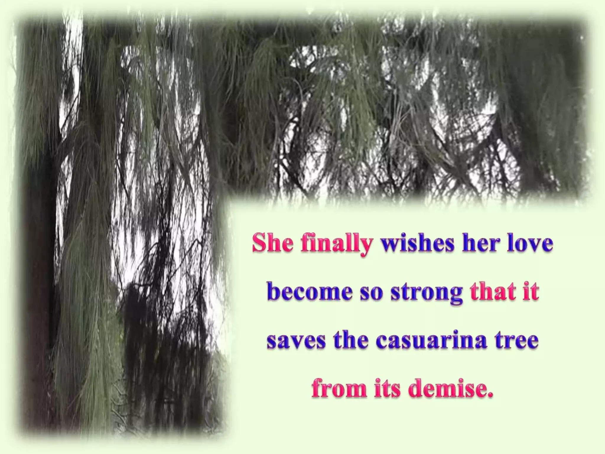 OUR CASUARINA TREE - TORU DUTT BY ROBYHEP | PPTX